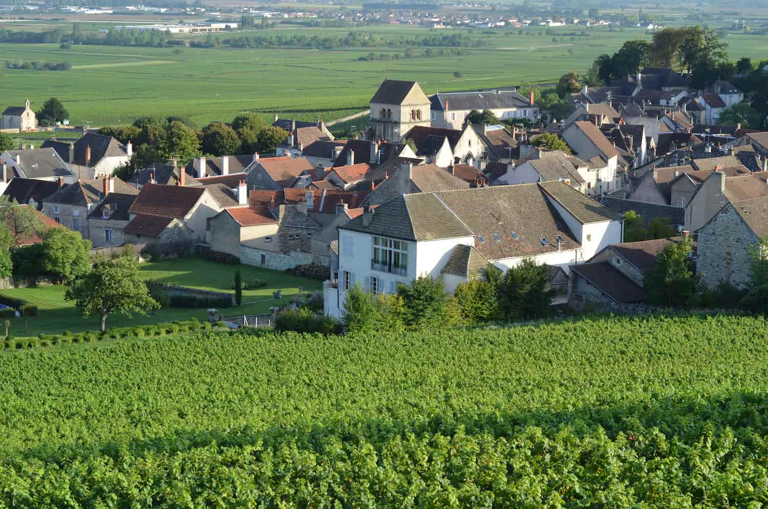 Domaine Marquis d'Angerville | FICOFI